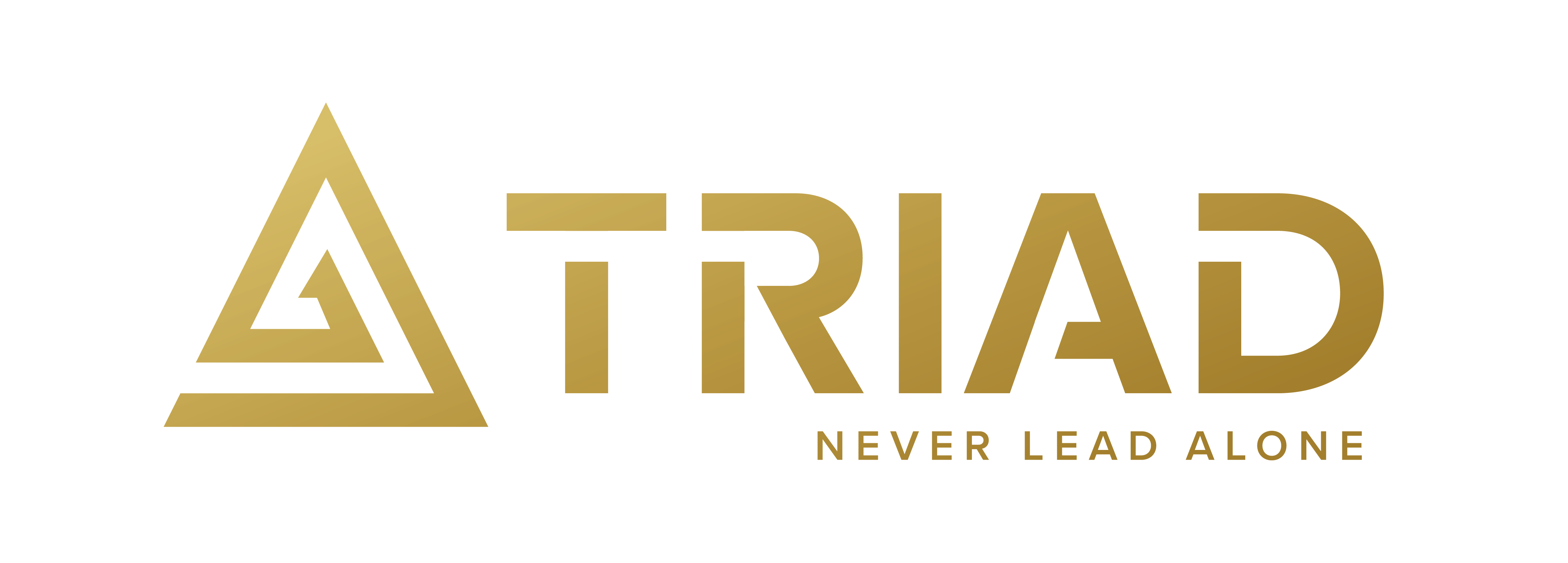 Triad - Your Partner for Technology Transformation